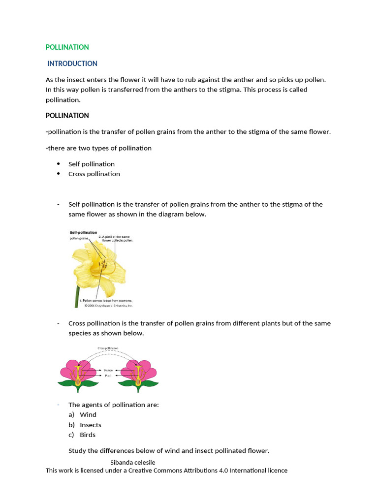 Biology - F 1 Reproduction in Plants-Pollination | PDF | Flowers | Pollination