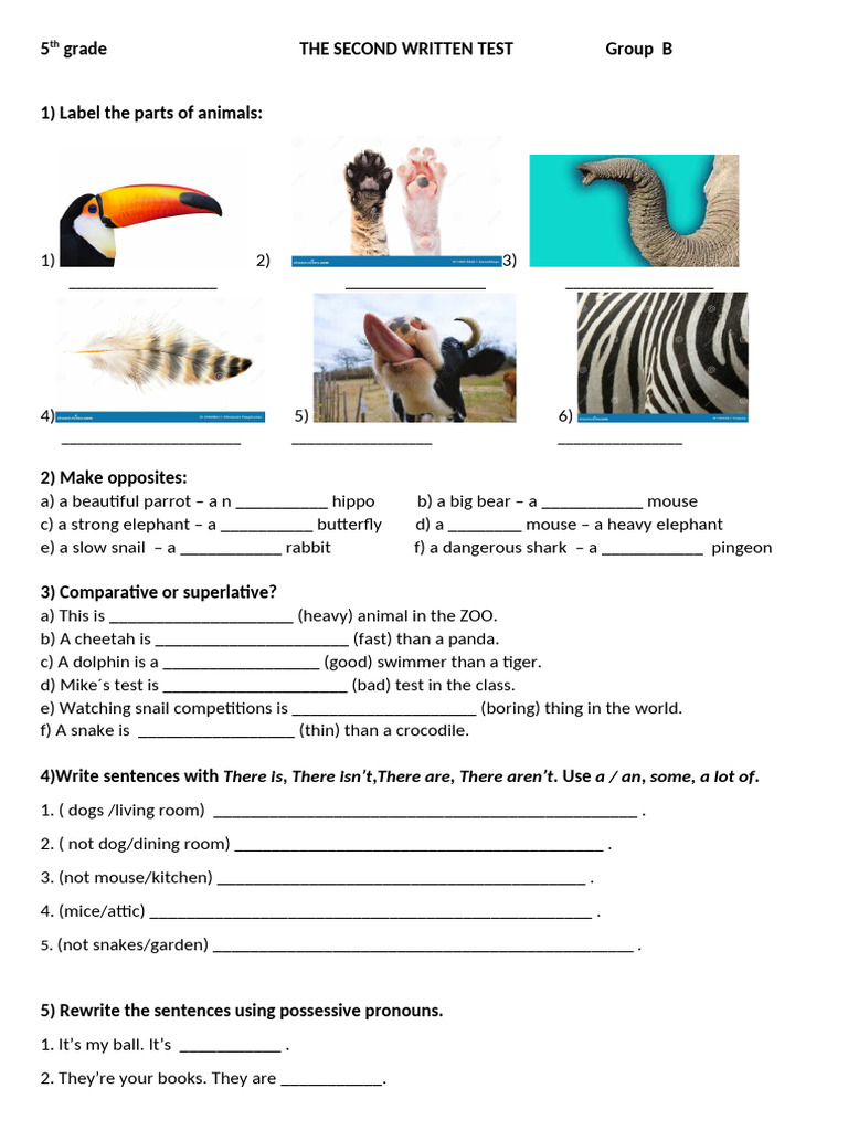 5th Grade-The Second Written Test-Group B-2025 | PDF