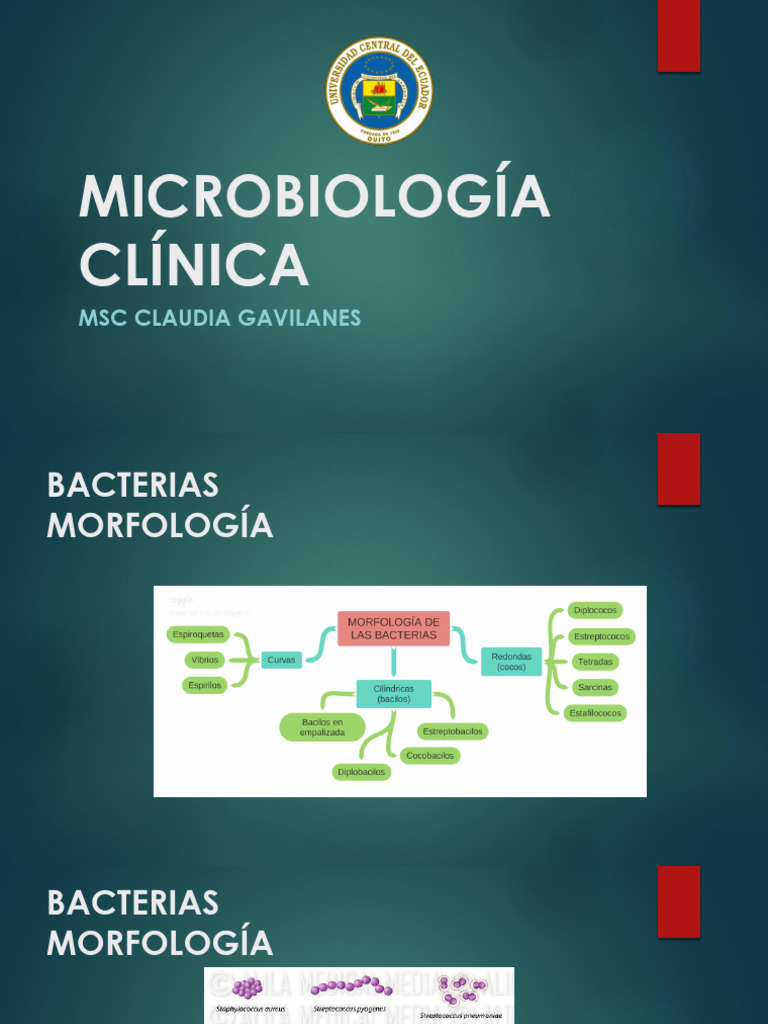 BACTERIAS | PDF | Las bacterias | Esterilización (Microbiología)