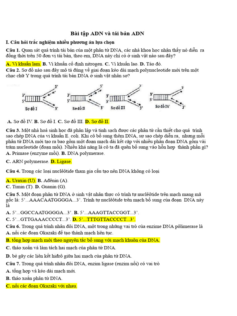 Bài tập ADN và tái bản ADN | PDF