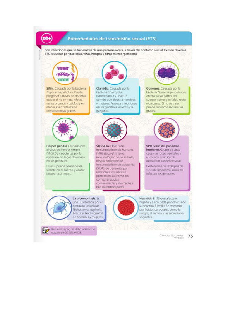 CCNN - 9641728397112 | PDF