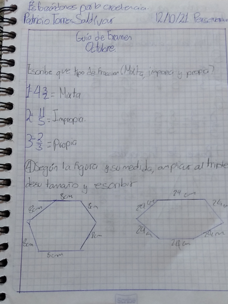 Guia de Matematicas Octubre | PDF