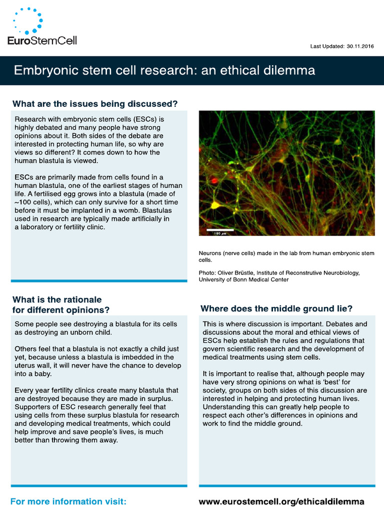 Embryonic Stem Cell Research An Ethical Dilemma | PDF | Cells ...