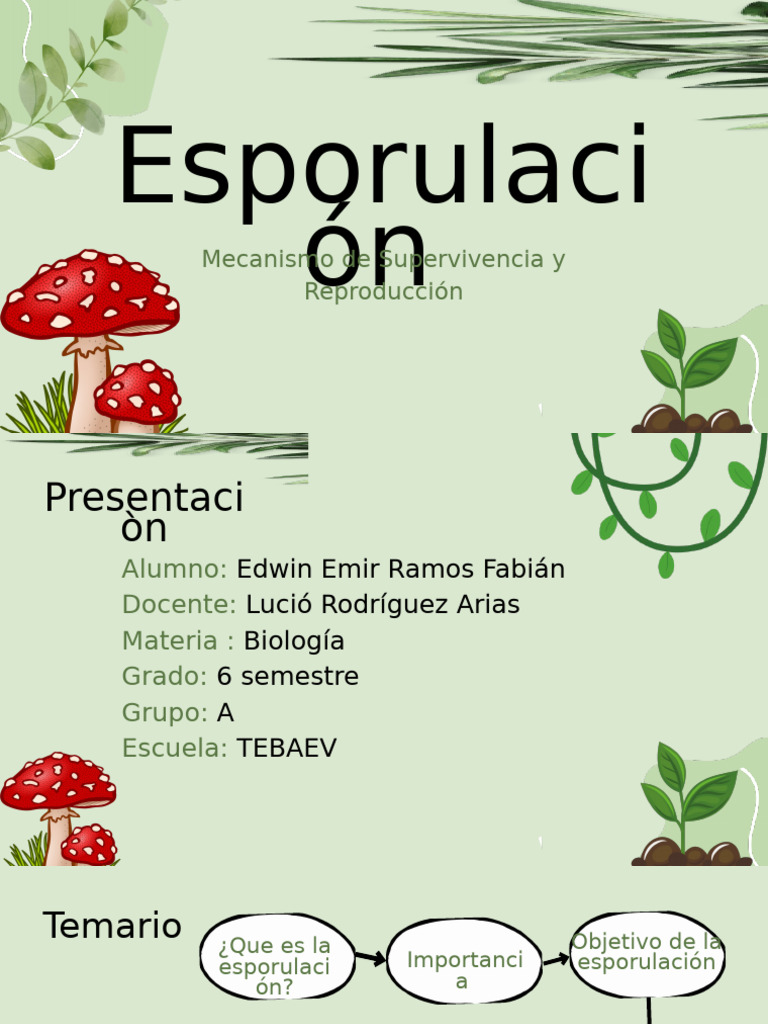 Esporulacion | PDF | Espora | Reproducción