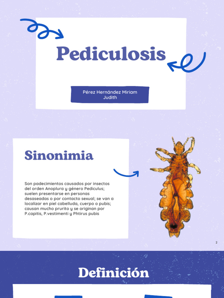 Pediculosis PDF | PDF | Especialidades Medicas