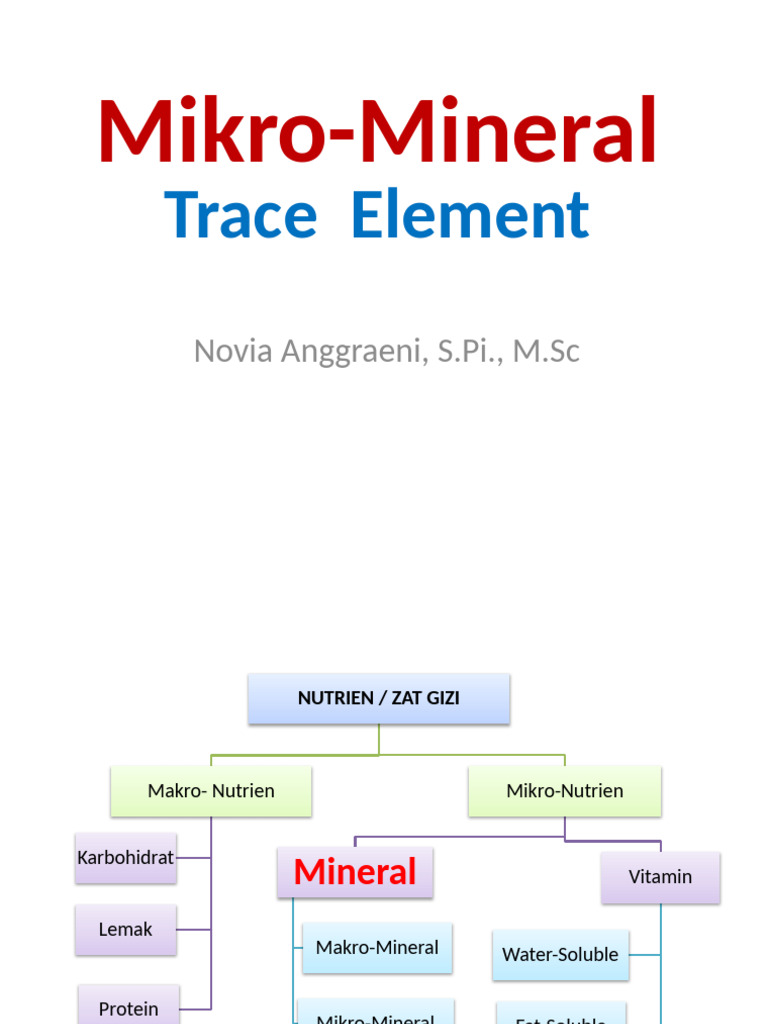Mikro Mineral Trace Element | PDF