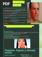 Quemaduras Faciales y Signos de Flogosis | PDF | Quemar | Inflamación