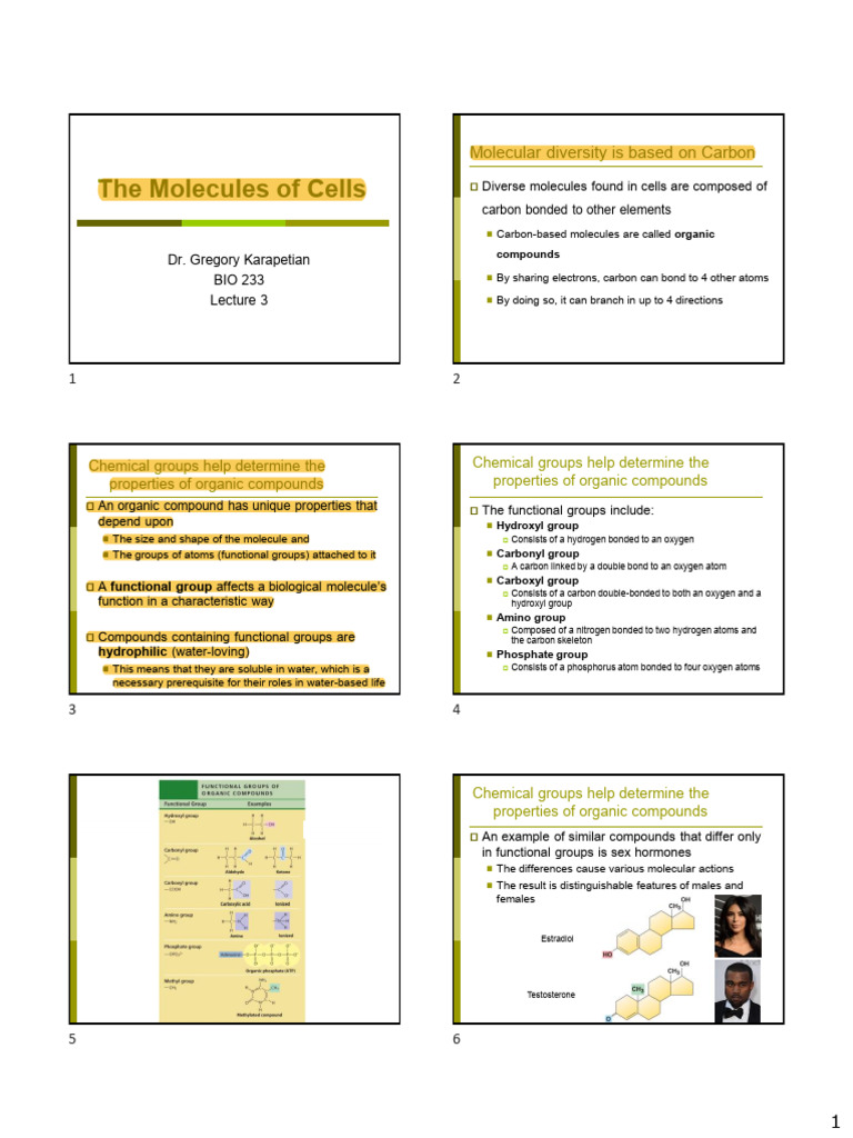 Cranial Nerves and Neural Integration | PDF | Protein Structure | Lipid