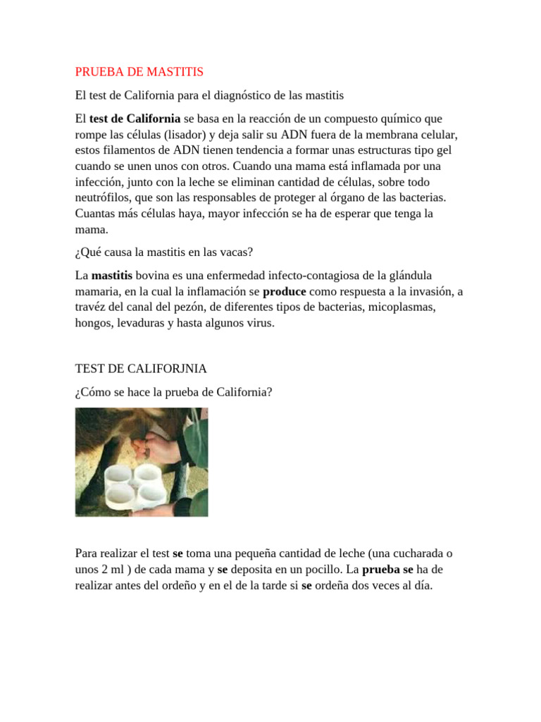 Test de California para mastitis bovina | PDF | Leche | Infección