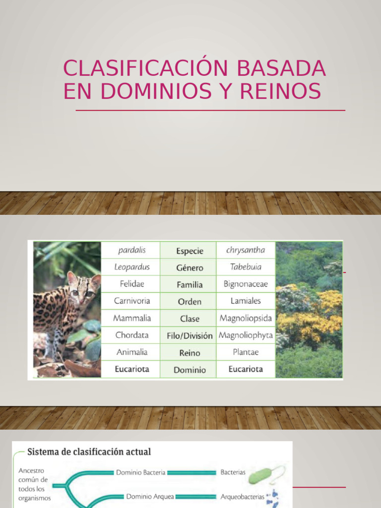 Clasificación Basada en Dominios y Reinos | PDF