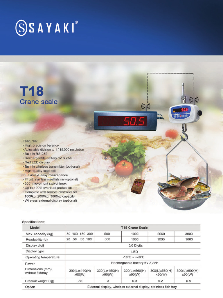 Brochure T18 Crane Scale | PDF