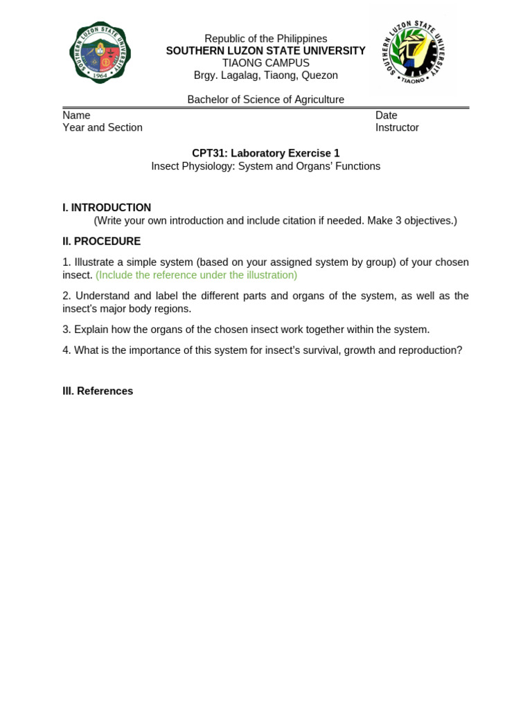 CPT32 Lab Excercise | PDF