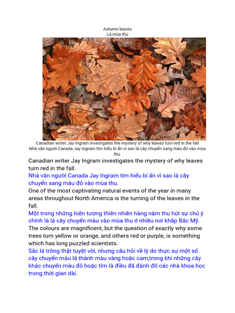 Autumn Leaves | PDF