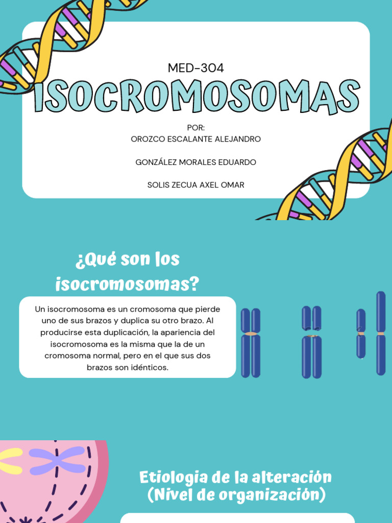 Isocromosomas y Síndrome de Pallister-Killian | PDF | Especialidades ...