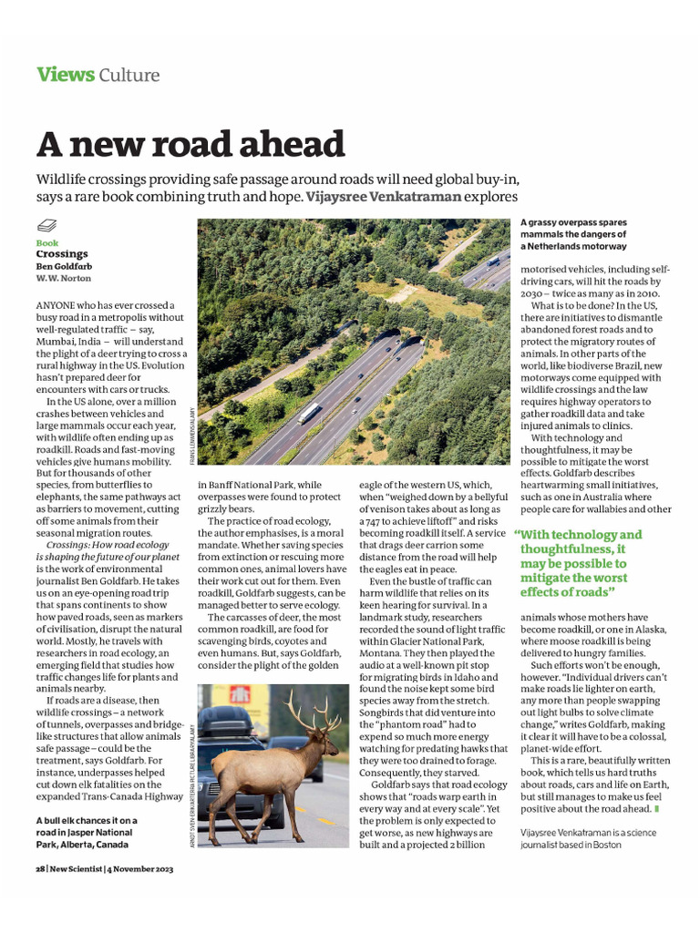 New Road Ahead | PDF