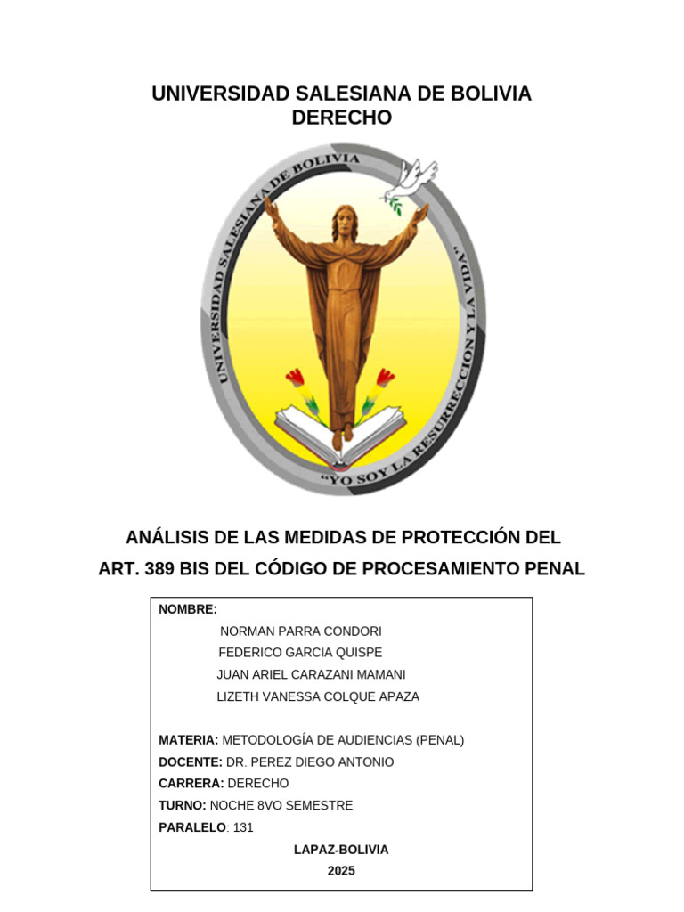 Análisis de Las Medidas de Protección Del Art 389 CPP | PDF | Violencia | Derechos humanos