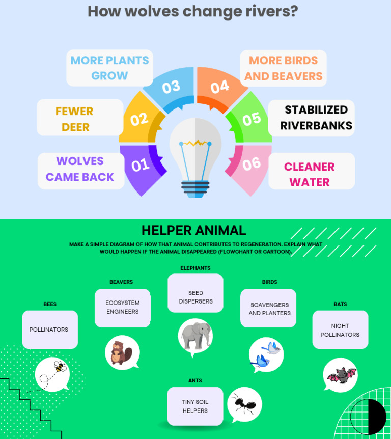 6 Step Light Bulb Process Diagram Infographic Brainstorm | PDF