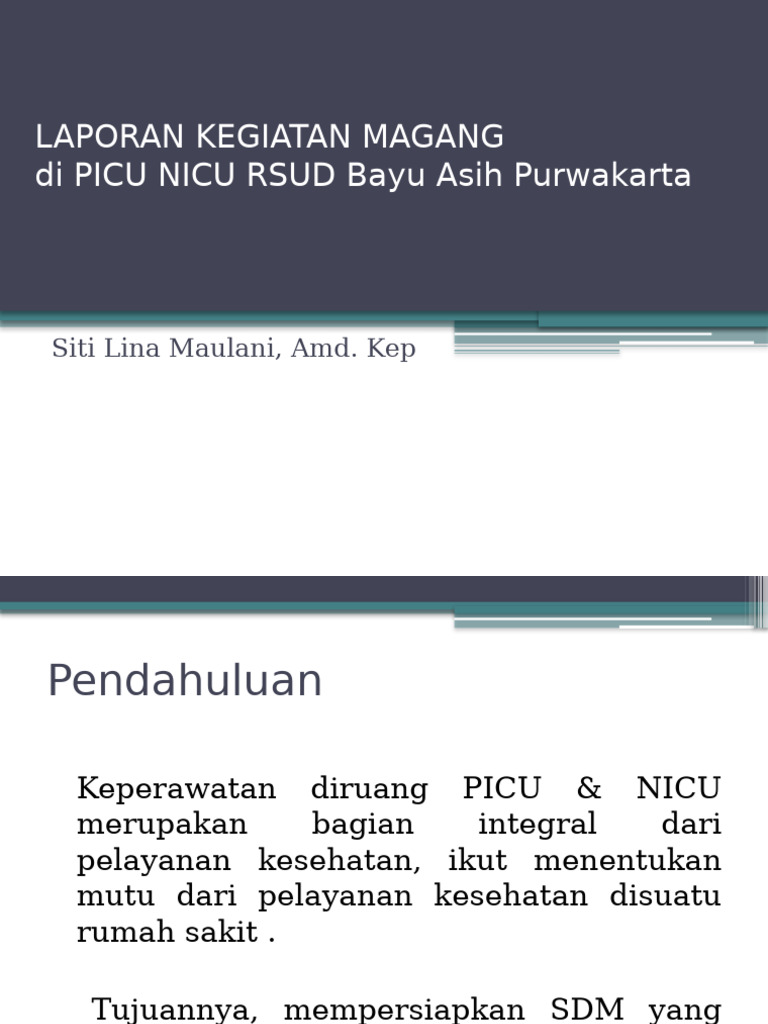 Laporan Magang Picu Nicu | PDF