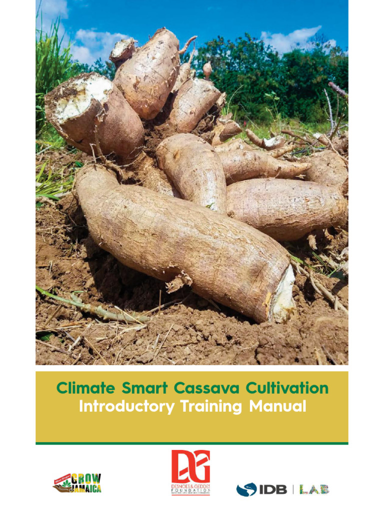 Climate Smart Cassava Training Guide | PDF | Pesticide | Weed