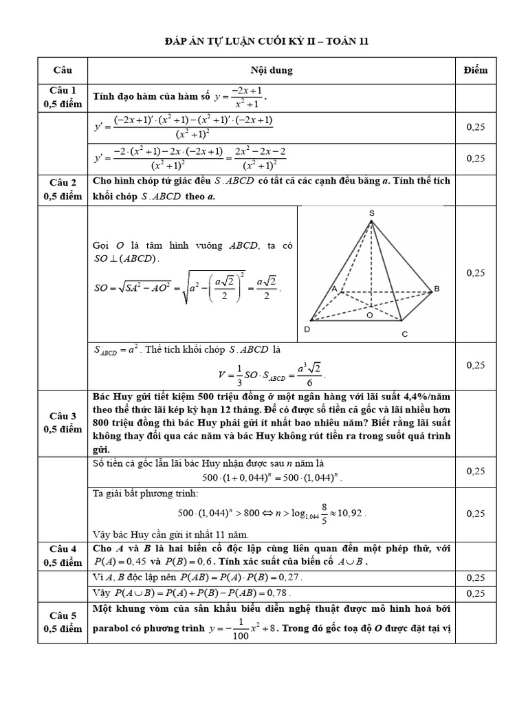 Dap An Tu Luan CK2 11 | PDF