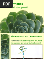 PUP PUP College Entrance Test PUPCET 2025 Schedules | PDF | Luzon