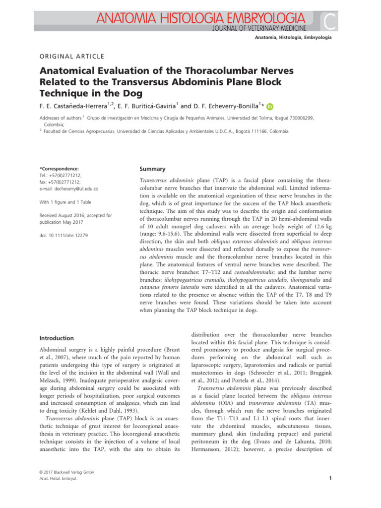 Anatomical Evaluationofthe Thoracolumbar Nerves Relatedtothe ...