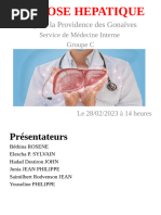 Segmentation Hépatique: Concepts Clés | PDF | Foie | Morphologie (Biologie)