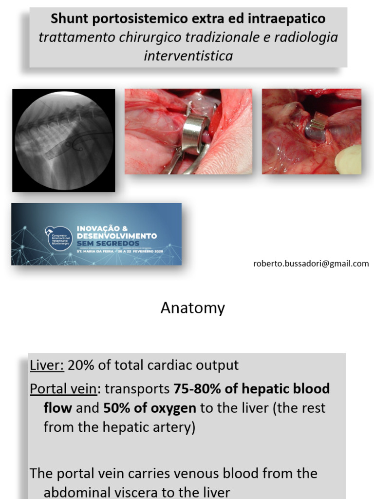 Shunt | PDF | Liver | Vein