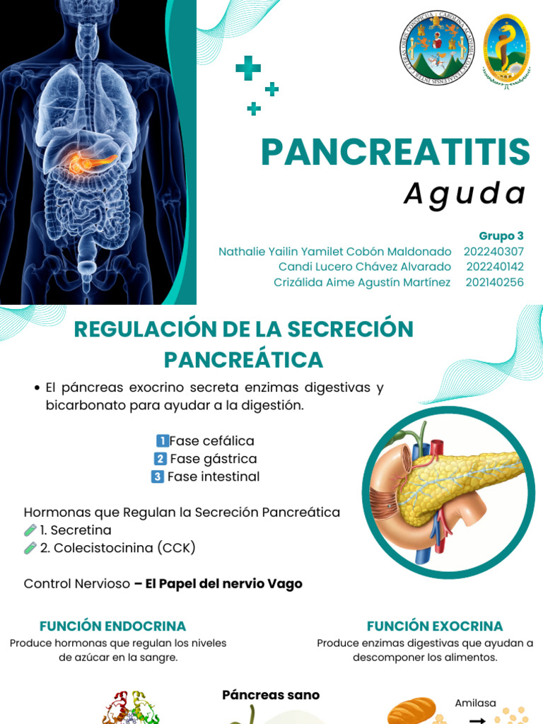 Pancreatitis Aguda: Causas y Tratamiento | PDF | Páncreas | Digestión