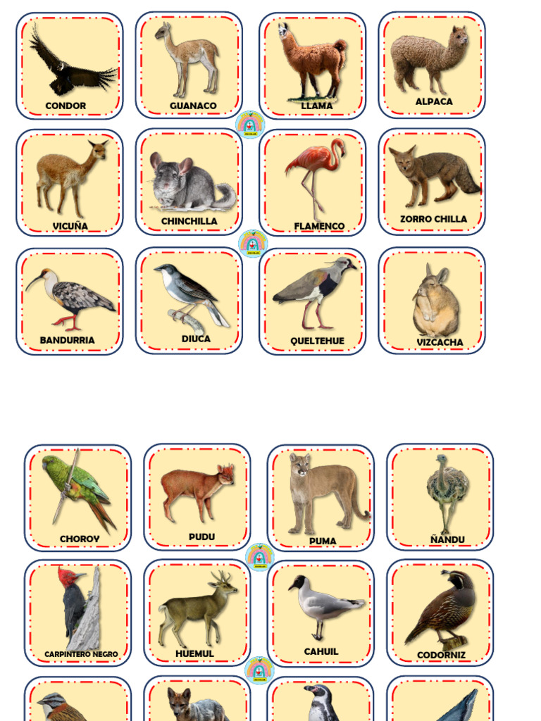 MEMORICE Animales de Chile | PDF