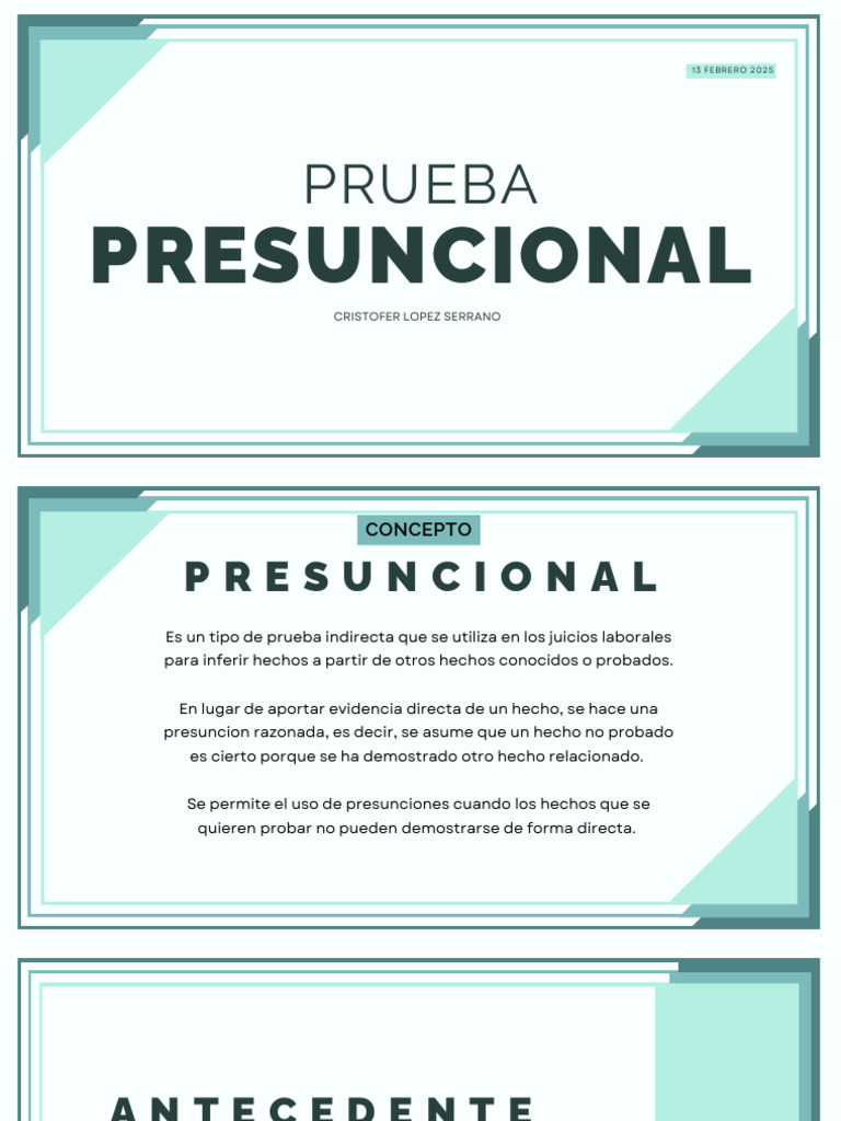 Prueba Presuncional | PDF | Justicia | Crimen y violencia