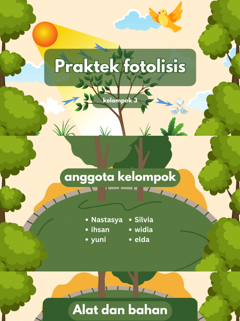 Praktek Fotolisis | PDF