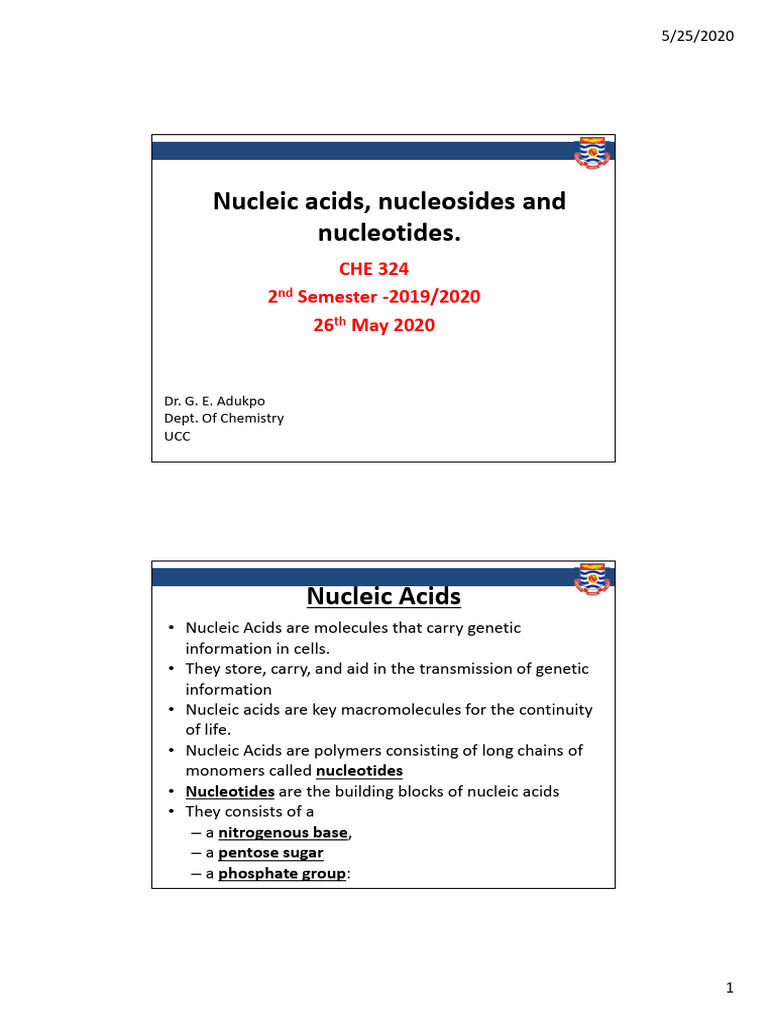 Nucleic acids | PDF | Nucleotides | Nucleic Acids