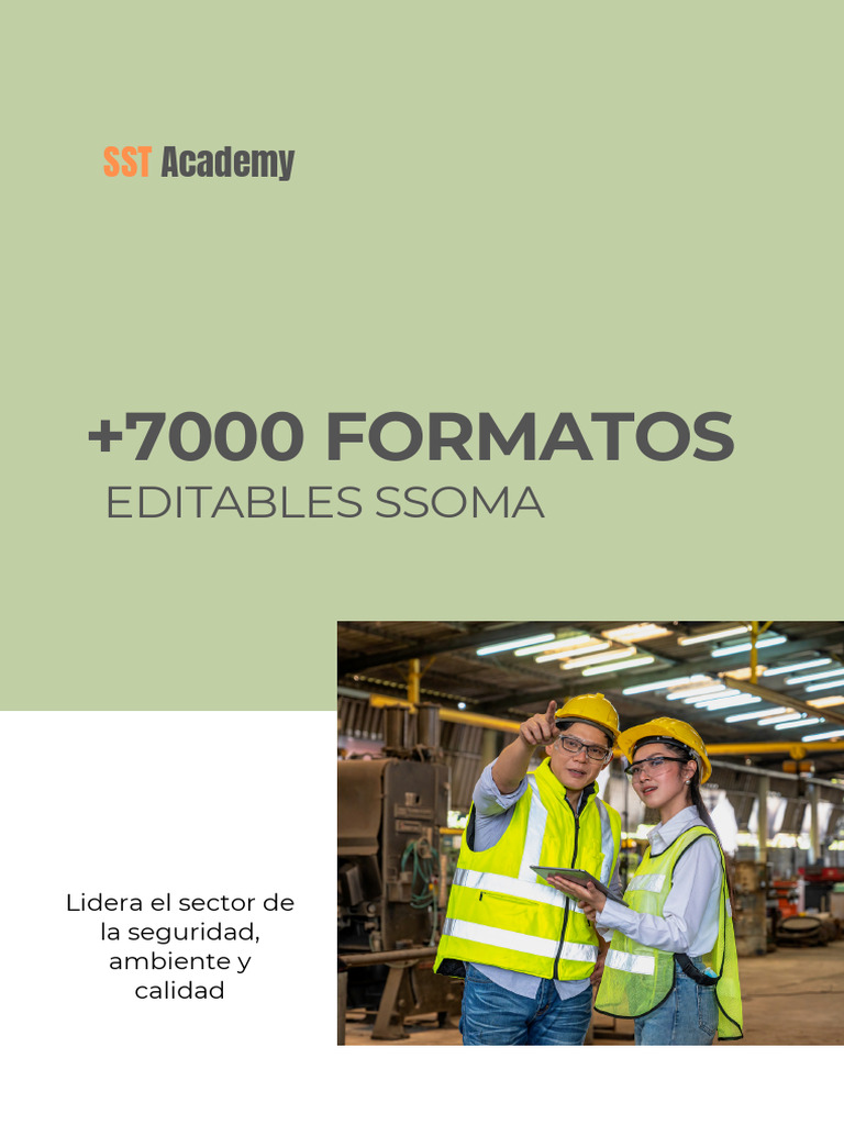 7K.Formatos SSOMA - Book | PDF