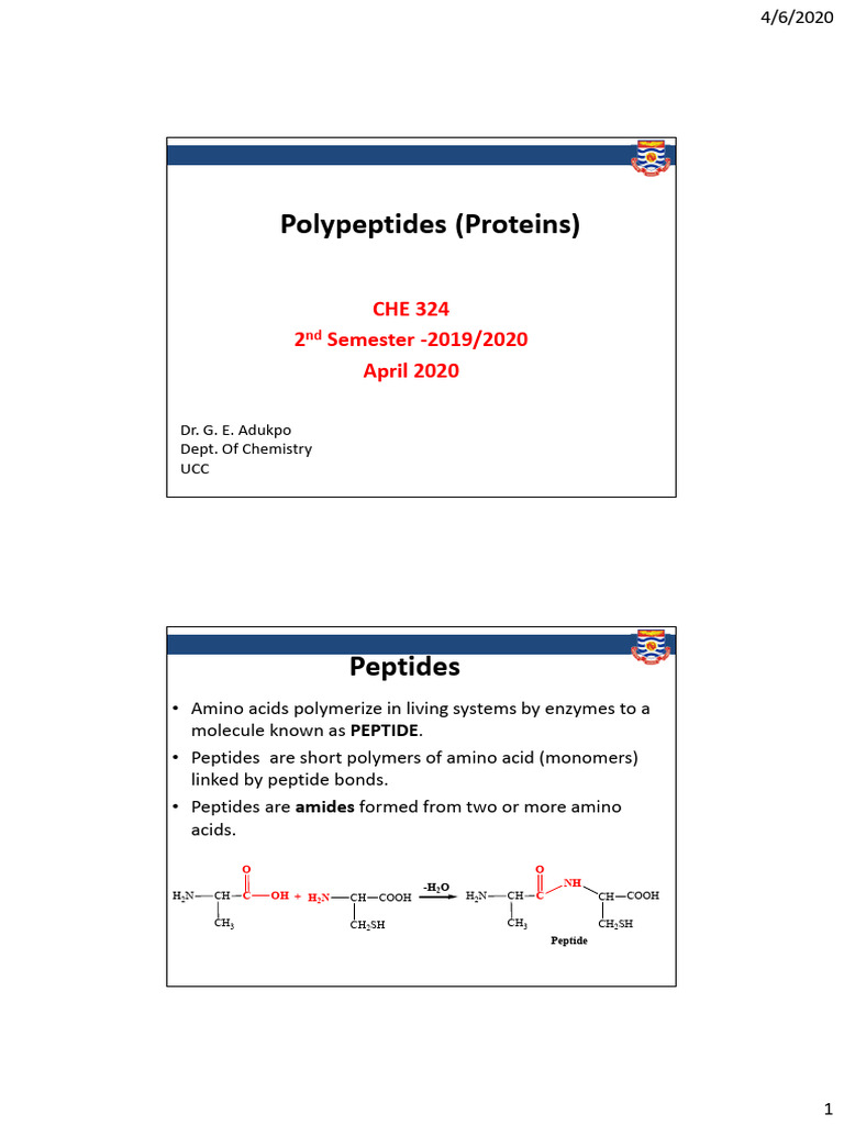 Peptides and Polypeptides | PDF | Protein Structure | Amino Acid