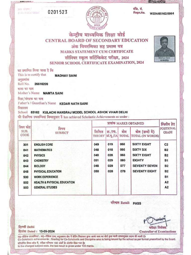 XII Marksheet - Compressed | PDF