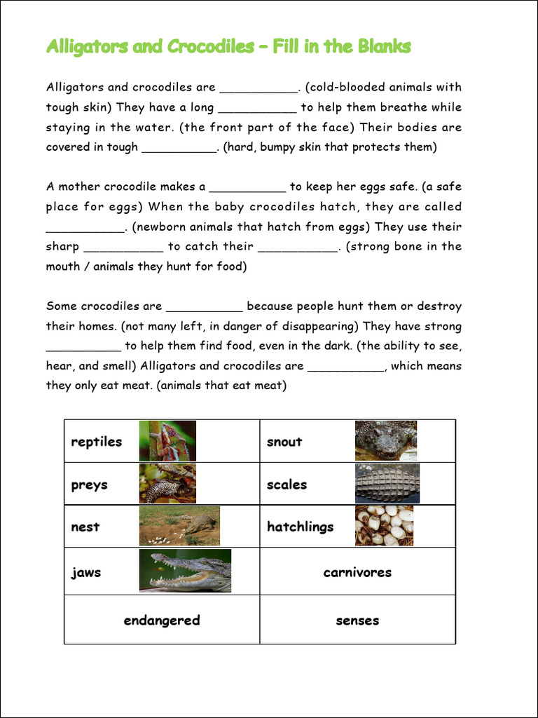 Nat Geo Kids Alligators and Crocodiles Worksheet | PDF