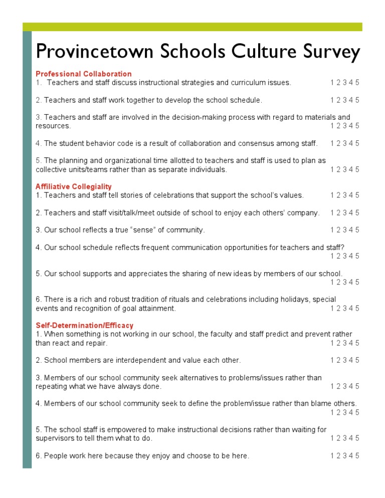Culture Survey Staff | PDF