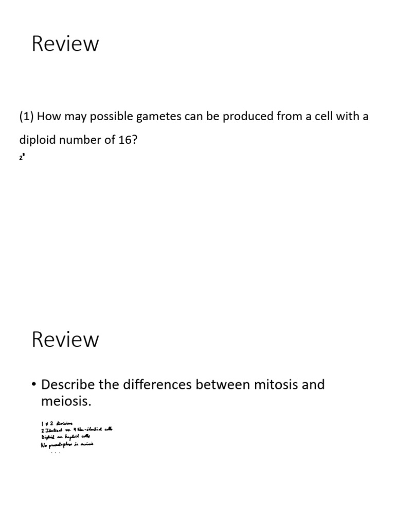 Lecture 9 Mendelian Genetics | PDF | Dominance (Genetics) | Meiosis