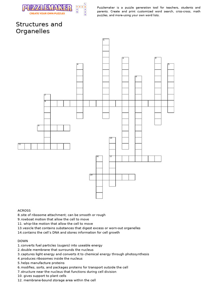Criss Cross Puzzle _ Discovery Education Puzzlemaker | PDF