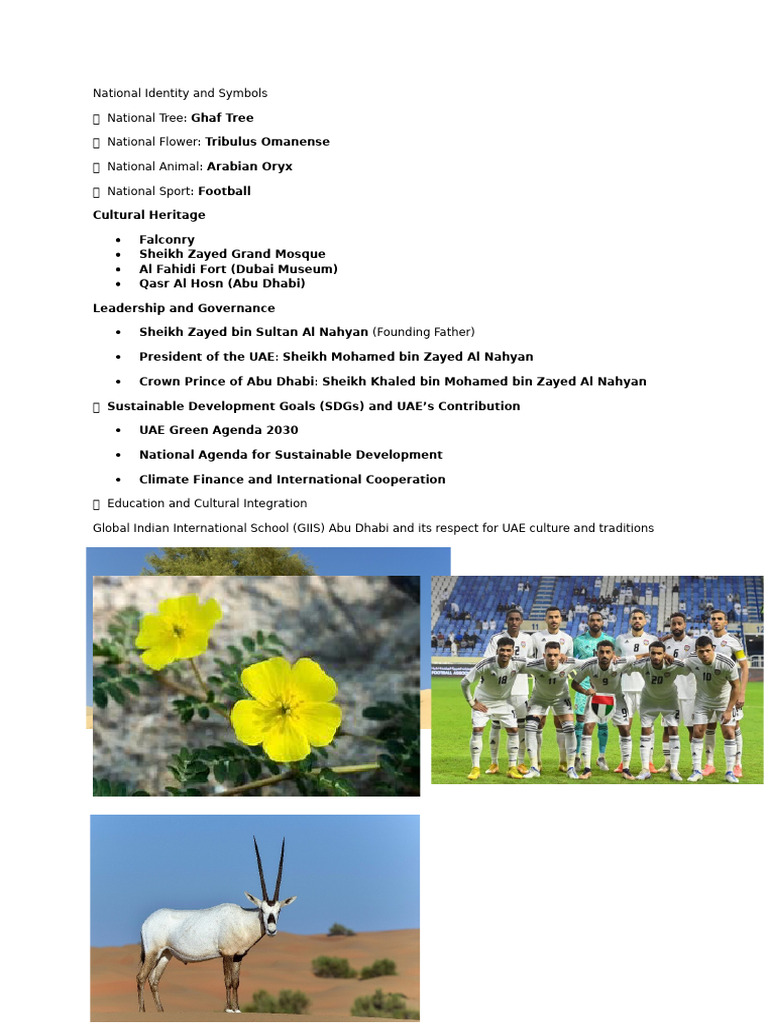 UAE National Identity and Symbols | PDF