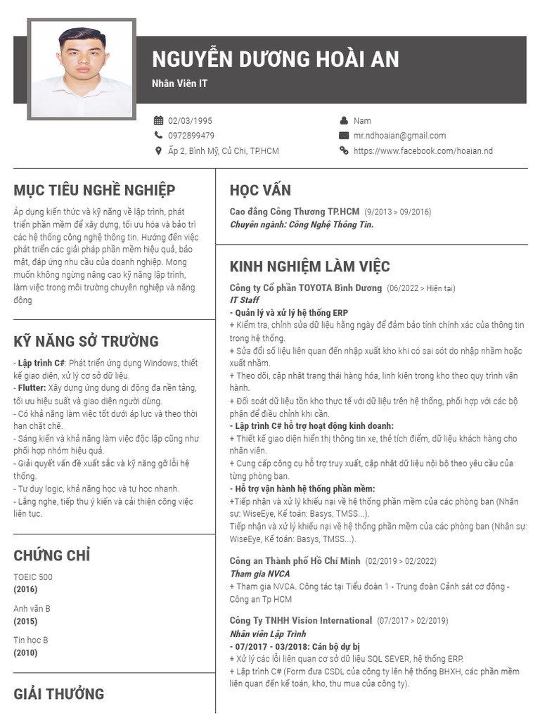 CV_IT_NGUYEN_DUONG_HOAI_AN | PDF