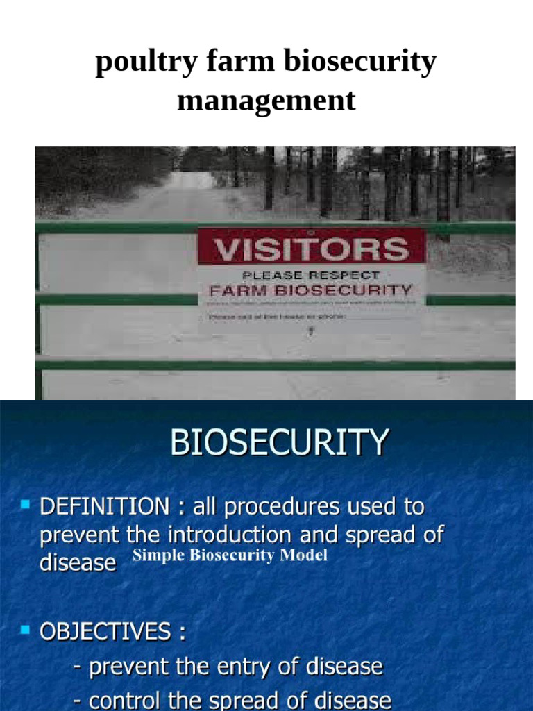 Poultry Farm Biosecurity Management | PDF | Poultry Farming | Immunology
