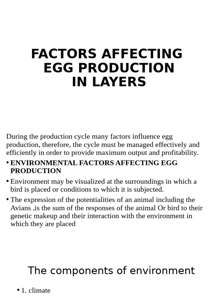 Factors Affecting Egg Production | PDF | Birds | Egg