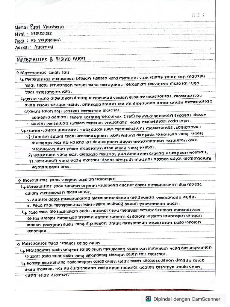 Resume Materi - Materialitas & Risiko Audit | PDF