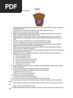 Tissues Work Sheet - Answer Key | PDF | Tissue (Biology) | Anatomy