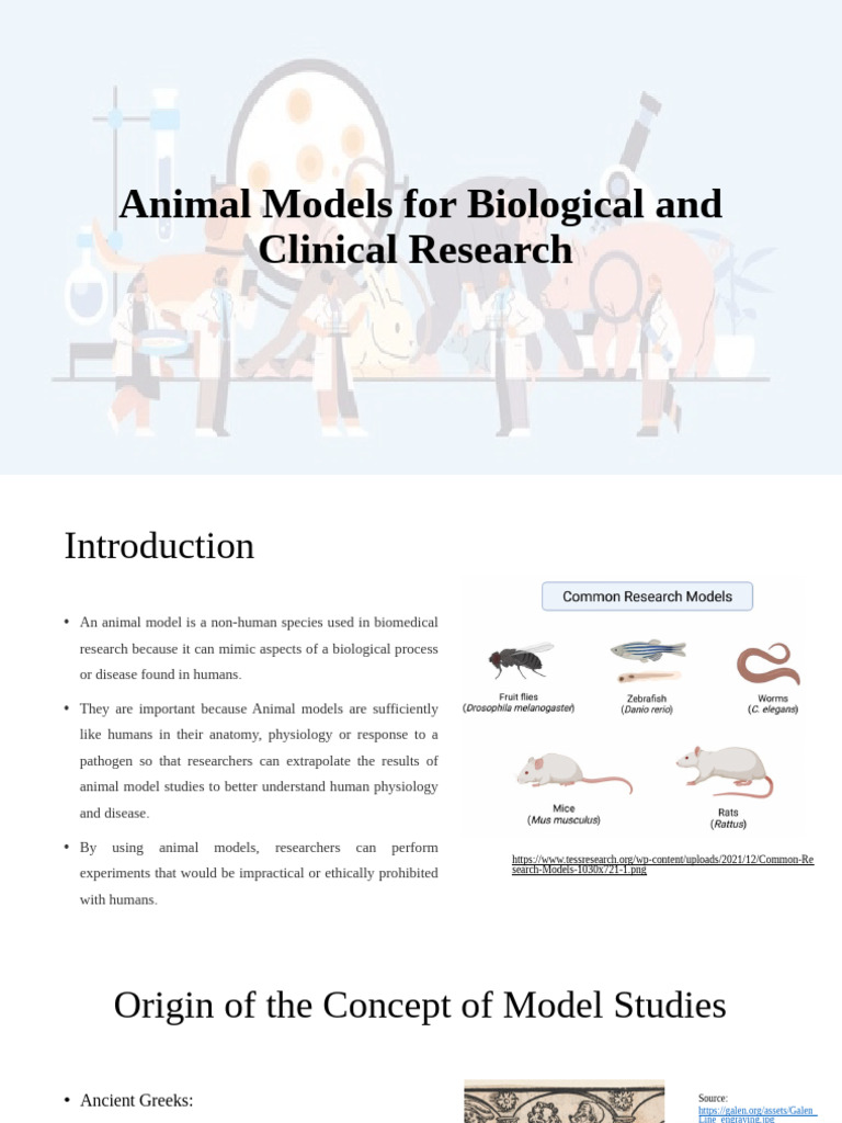 (3) Animal Models for Biological and Clinical Research Ppt 2 | PDF ...