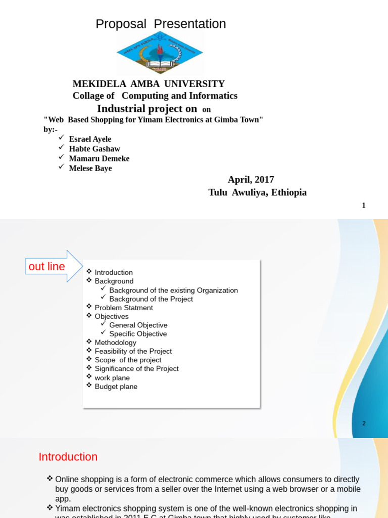 Proposal Presentation | PDF | Usability | Online Shopping