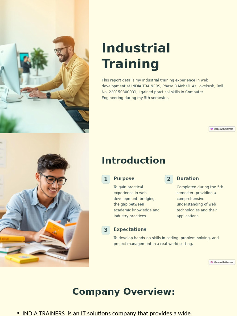 Industrial Training | PDF | World Wide Web | Internet & Web