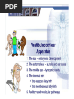 Human Ear Diagram Labelled Structure, Parts and Functions Vedantu | PDF ...